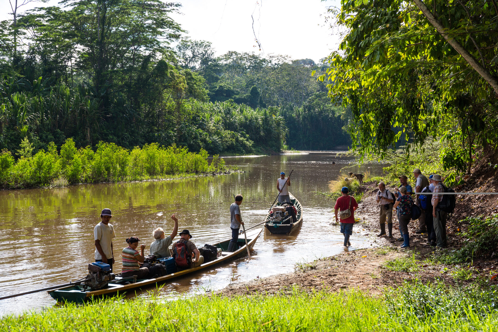 Die Stiftung — Panguana